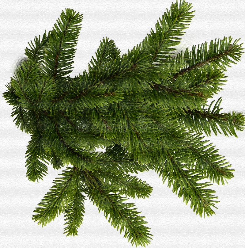 Abstract Green Spruce Branch on a Light Rough Background Stock Photo ...