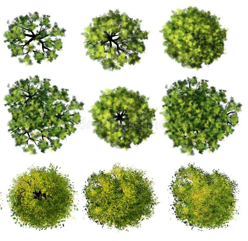 Abstract Green Tree Top View Stock Illustration - Illustration of ... Abstract Green Tree Top View Stock Illustration - Illustration of ...