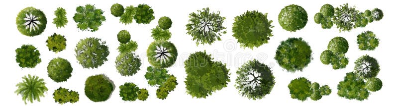Abstract Green Tree Top View Stock Illustration - Illustration of ... Abstract Green Tree Top View Stock Illustration - Illustration of ...