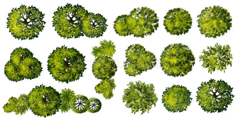 Abstract Green Tree Top View Stock Illustration - Illustration of ...