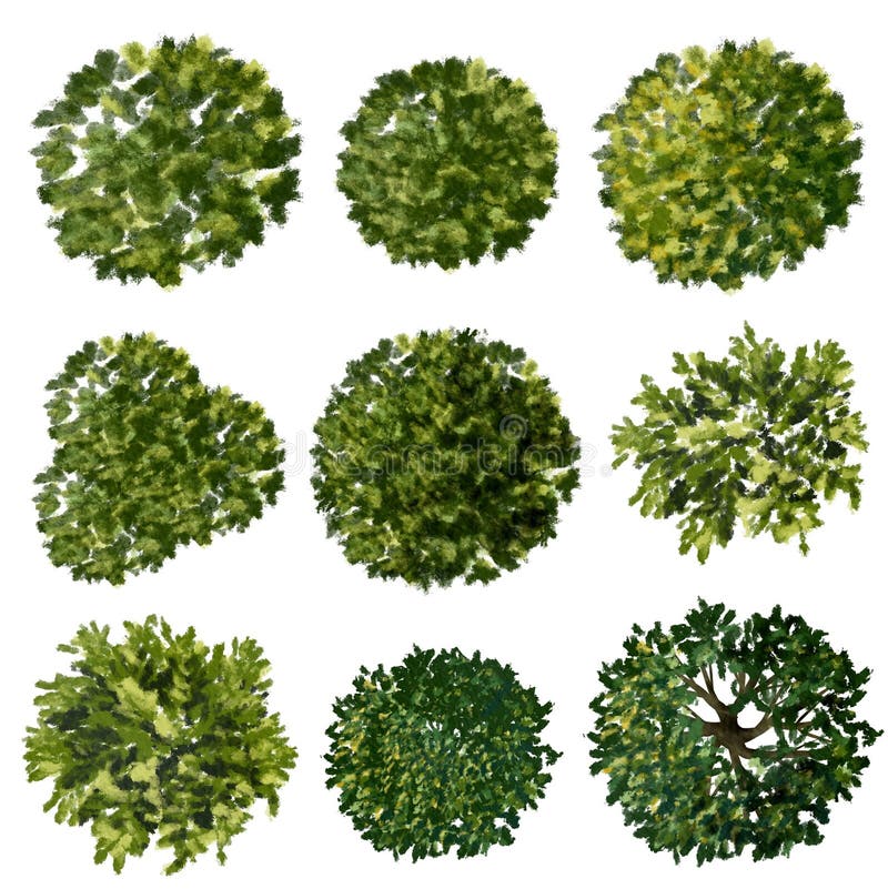 Abstract Green Tree Top View Stock Illustration - Illustration of view ...