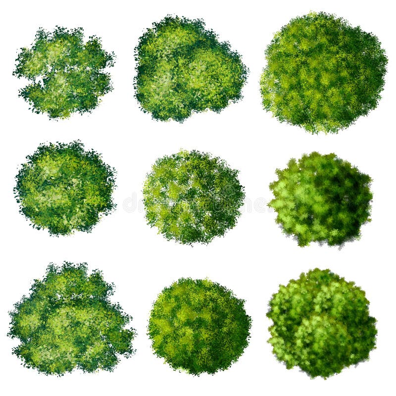 Abstract Green Tree Top View Stock Illustration - Illustration of ...