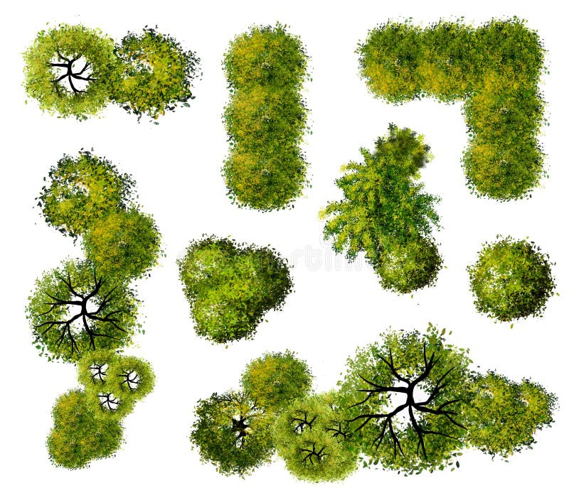 Abstract Green Tree Top View Stock Illustration - Illustration of ... Abstract Green Tree Top View Stock Illustration - Illustration of ...