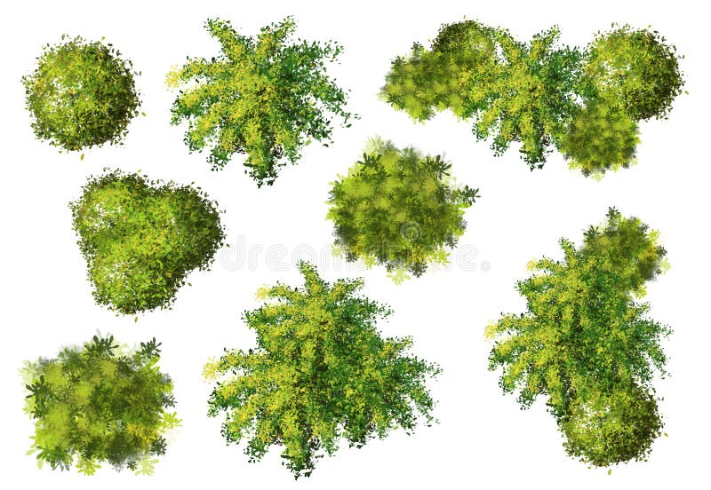 Abstract Green Tree Top View Stock Illustration - Illustration of ...
