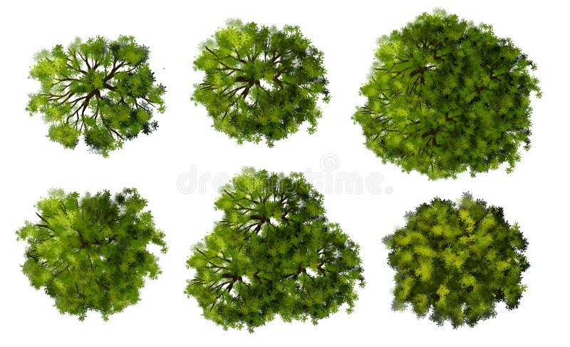 Abstract Green Tree Top View Stock Illustration - Illustration of ...