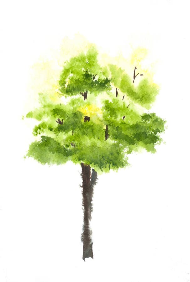 Abstract green tree stock illustration. Illustration of nature - 77998709