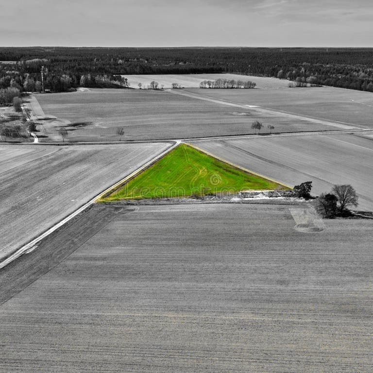 Abstract Green Triangle, Aerial View of a Green Triangular Meadow ...