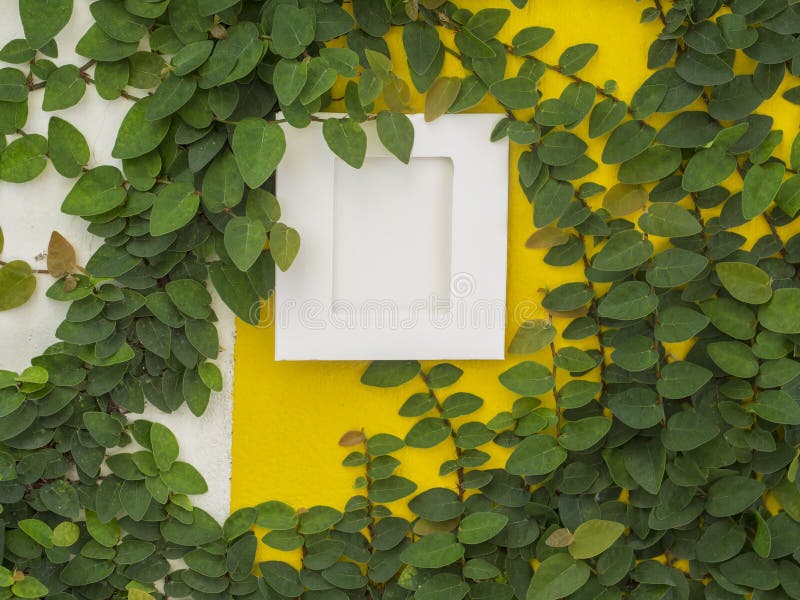 Abstract Green Wall with the Frame on the White Background Stock Image ...
