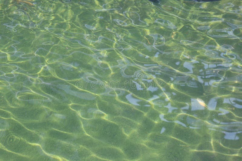 Abstract Green Water in Pond. Stock Photo - Image of surface, design ...