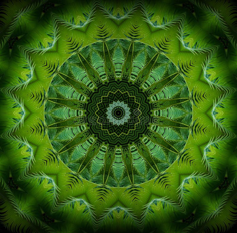 Abstract Greenery Pattern, Palm Green Leaves with Kaleidoscope Effect ...