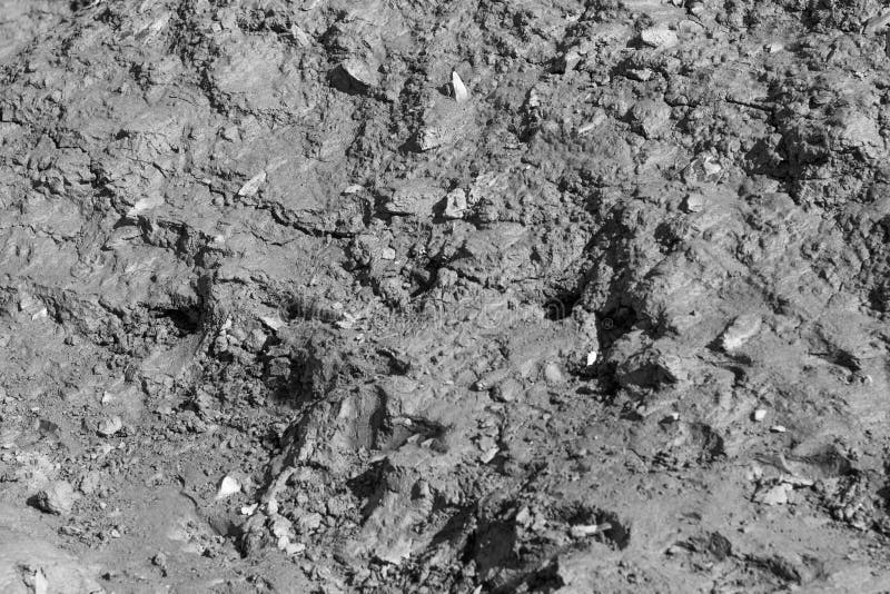 Abstract grey background stock photo. Image of surface - 98888622