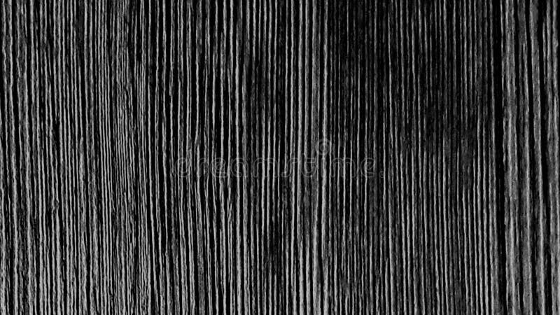 Black White Paper Animation Christmas Stock Photos - Free & Royalty ...