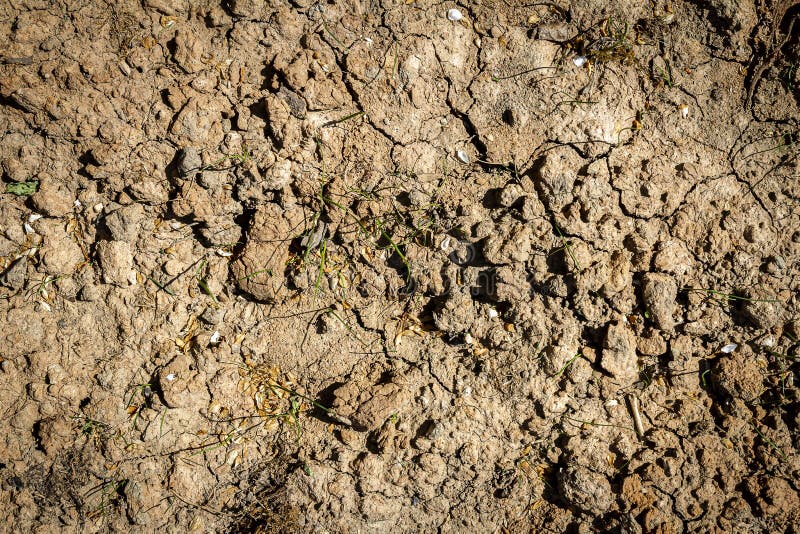 Abstract Ground Texture Background Stock Photo - Image of environmental ...