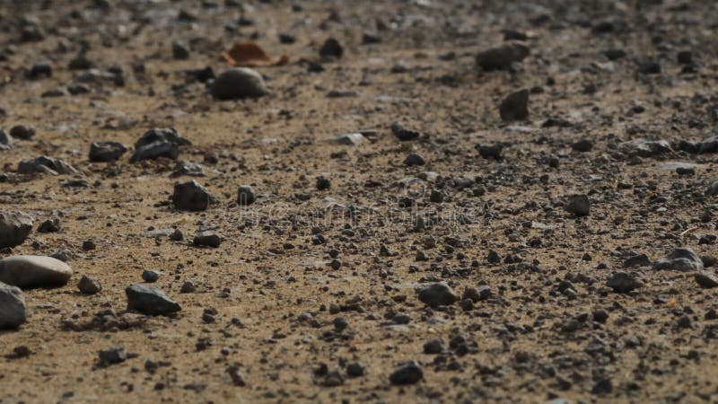 Abstract Ground Texture Background. Macro Photography. Stock Image ...