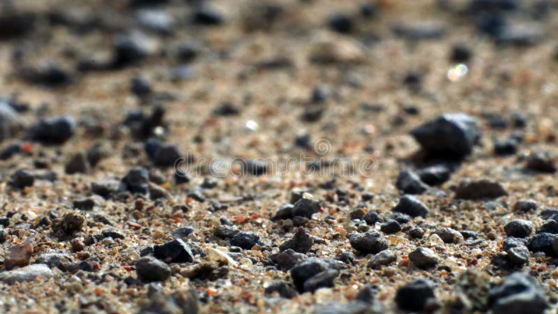 Abstract Ground Texture Background. Macro Photography. Stock Photo ...