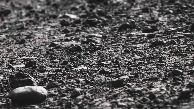 Abstract Ground Texture Background. Macro Photography. Stock Image ...