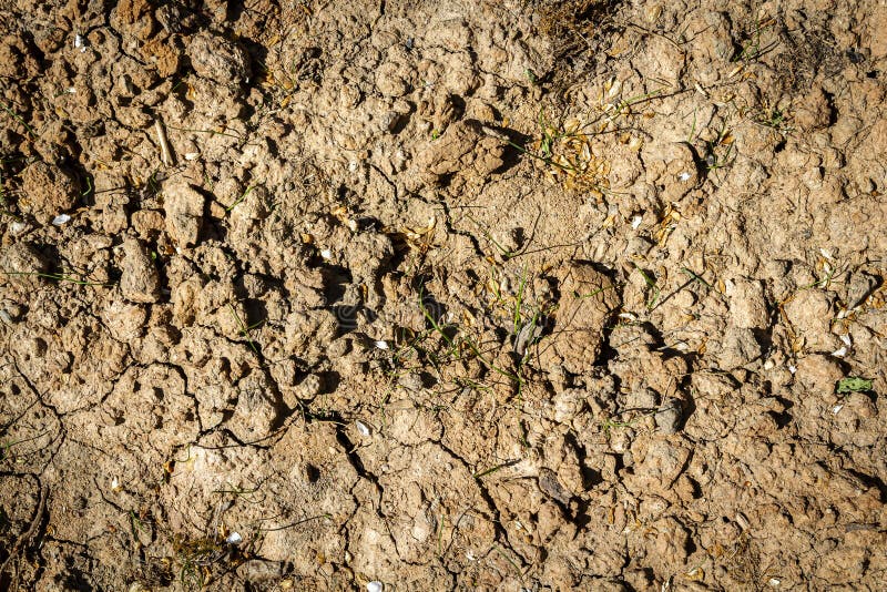 Abstract ground texture stock photo. Image of rift, earth - 30700852