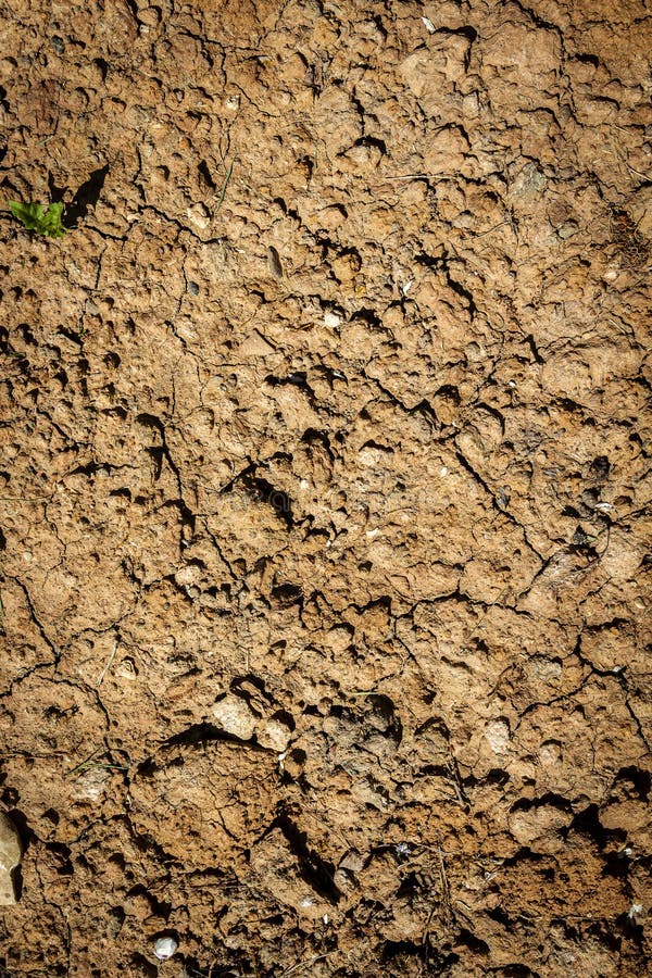 Abstract ground texture stock photo. Image of rift, earth - 30700852