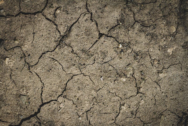 Abstract Ground Texture Background Stock Photo - Image of earth, growth ...