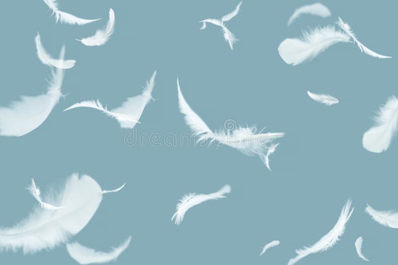 Abstract Group of White Bird Feathers Floating in the Air. Lightly ...
