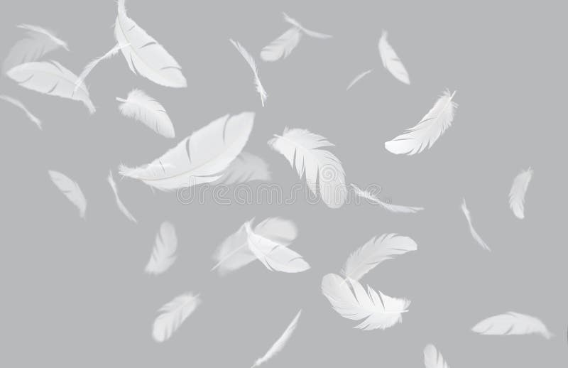Abstract Group of White Bird Feathers Floating on Gray Background Stock ...