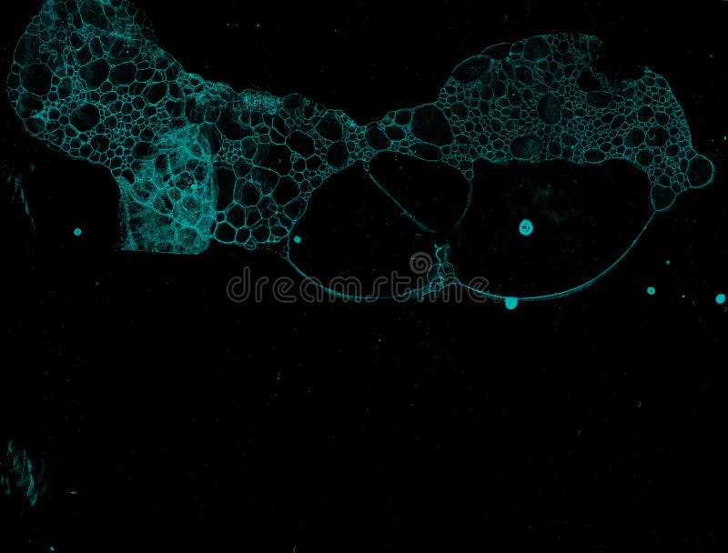 Abstract Grunge Cellular Background Stock Illustration - Illustration ...