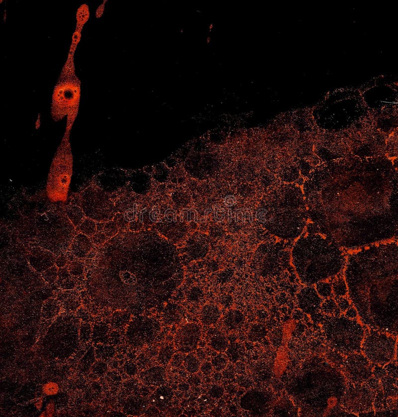 Abstract Grunge Cellular Background Stock Illustration - Illustration ...