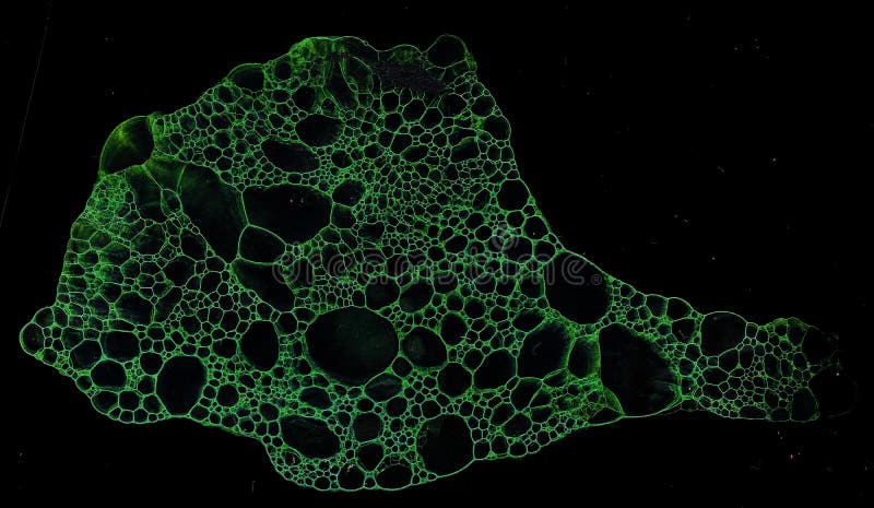 Abstract Grunge Cellular Background Stock Illustration - Illustration ...