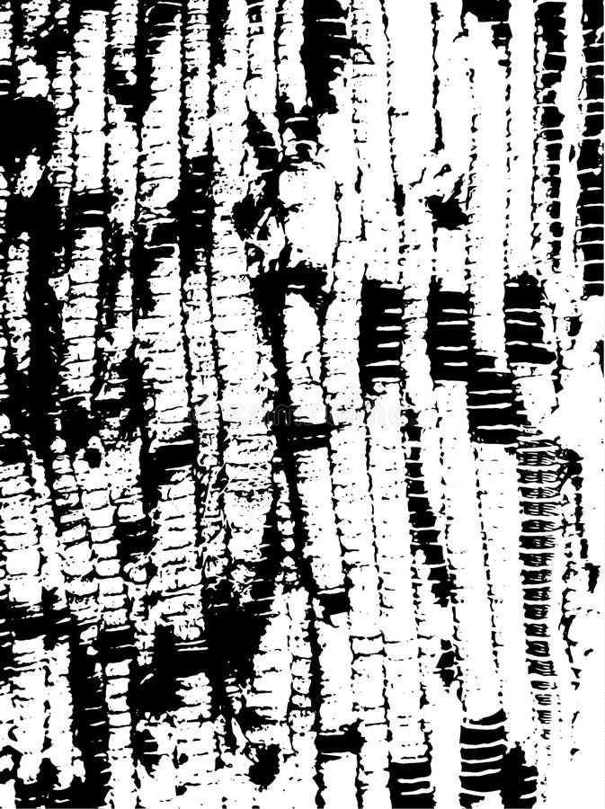 Abstract Grunge Texture of the Rug, Carpet. Black and White Vector ...