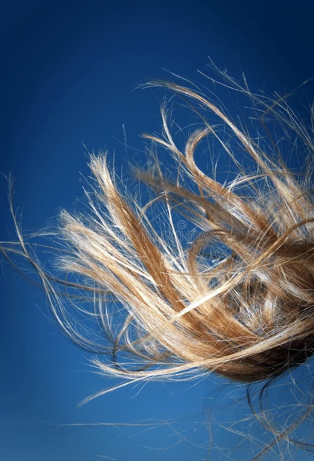 Abstract hair view stock photo. Image of person, hair - 15930618