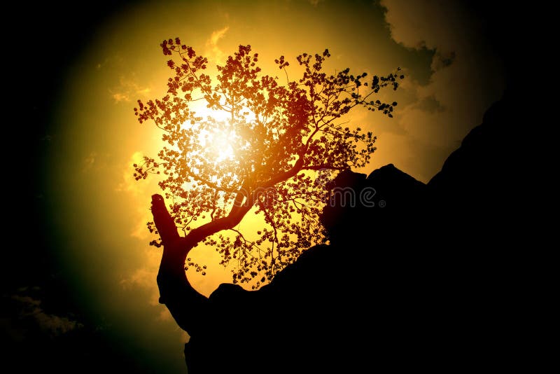 Abstract in halloween stock image. Image of concept - 158774349