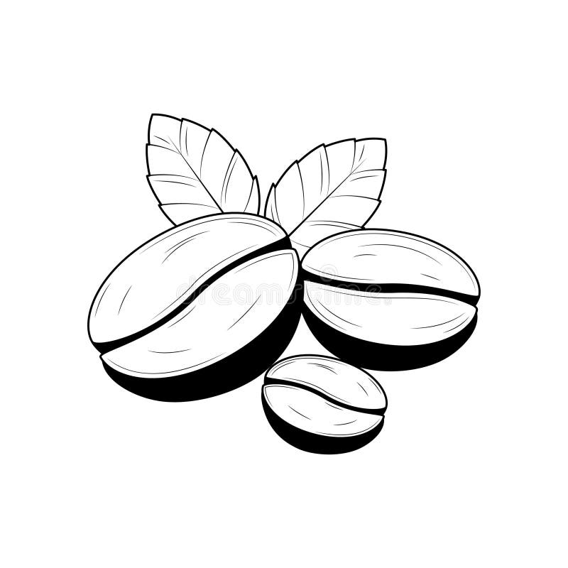 Abstract Hand Drawn Coffee Beans Doodle for Coffee Drink Seed Concept ...