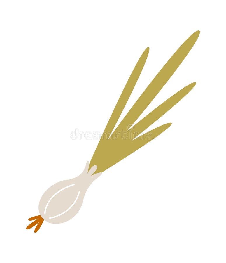 Abstract Hand Drawn Green Onion Flat Icon Stock Vector - Illustration of vegetables, isolated ...