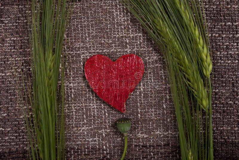 Abstract Hearts and Ears of Corn Stock Image - Image of green, harvest ...