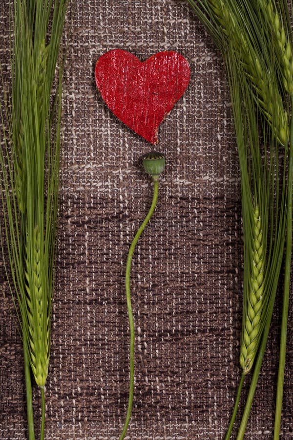 Abstract Hearts and Ears of Corn Stock Image - Image of bread ...