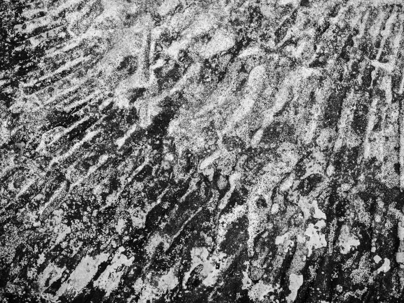 323 Gore Texture Photos - Free & Royalty-Free Stock Photos from Dreamstime