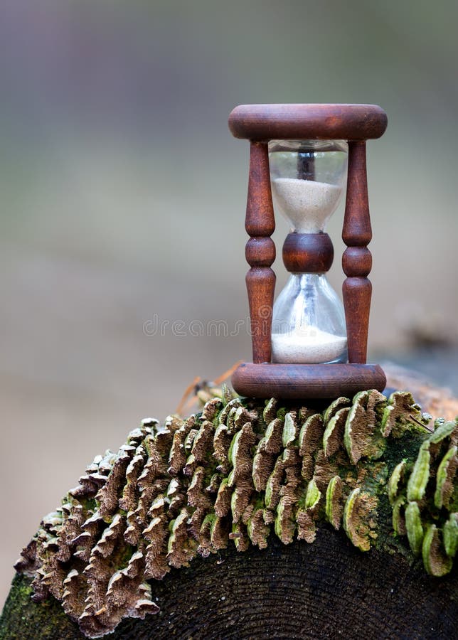 Hourglass Wooden Log Surface Stock Photos - Free & Royalty-Free Stock ...