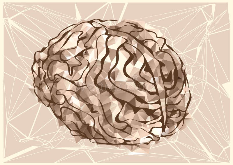 Abstract human brain stock vector. Illustration of abstract - 155936200