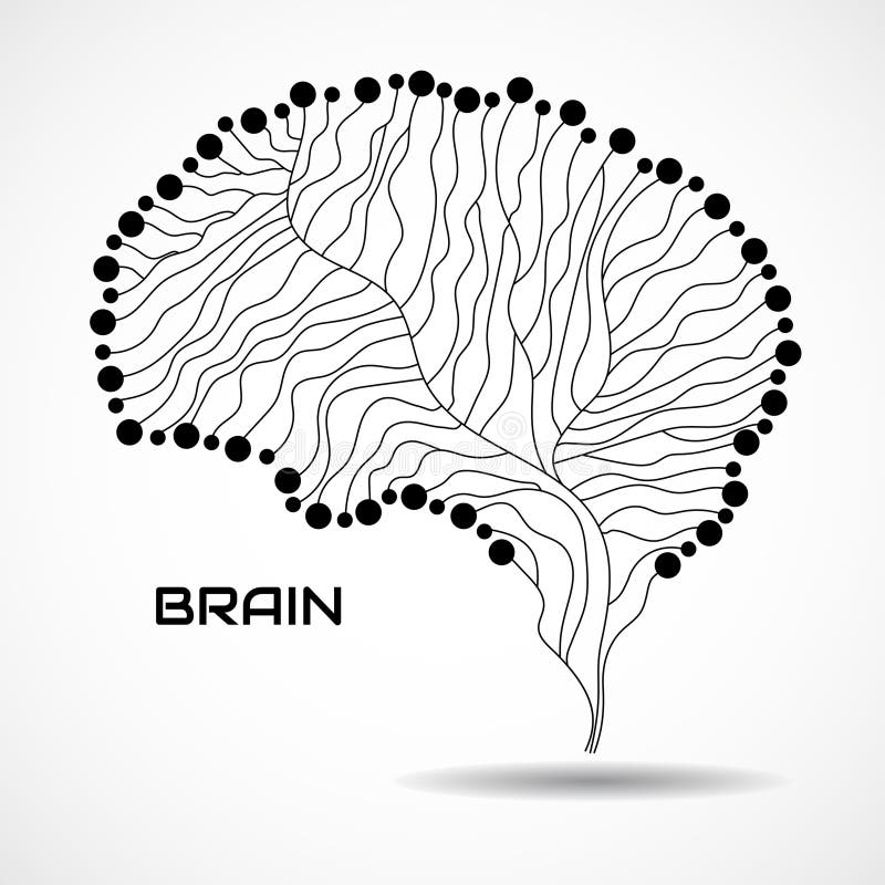 Abstract Human Brain of Lines on White Background Stock Vector ...