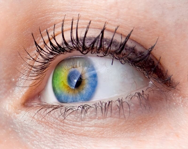 Abstract human eye stock illustration. Illustration of concentric ...