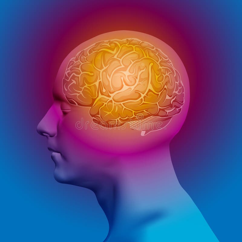 Abstract Human Head with a Brain. Vector Stock Vector - Illustration of ...