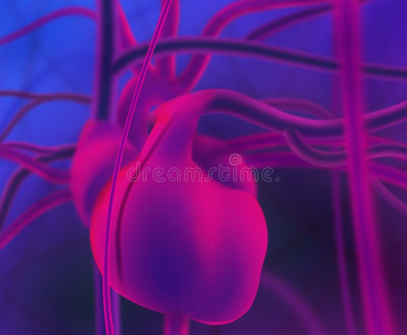 Abstract human heart stock illustration. Illustration of artery - 245349181