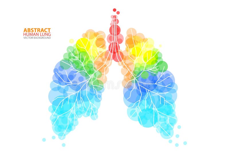 Abstract Human Lung Vector with Transparent Orbs Stock Vector ...
