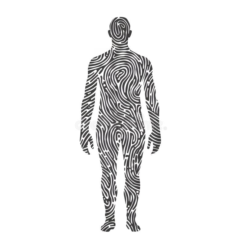 Fingerprint Pattern Human Silhouette Illustration on White Background ...