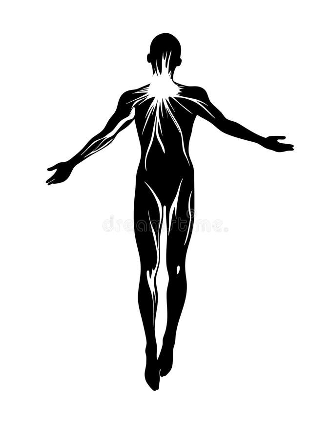 Abstract Human Silhouette with Radiating Light Vector Artwork Stock ...