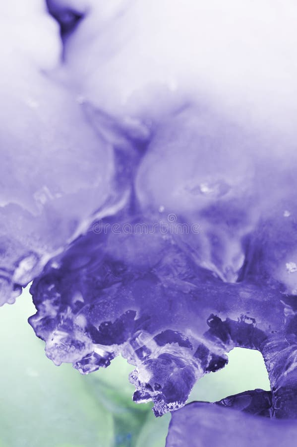 Red Cili Padi stock image. Image of chillies, fresh, padi - 675151