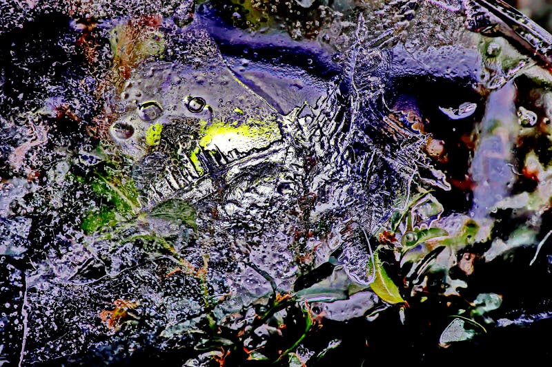 Abstract Ice Pattern and Drawing Appearing on the Surface of the Water ...