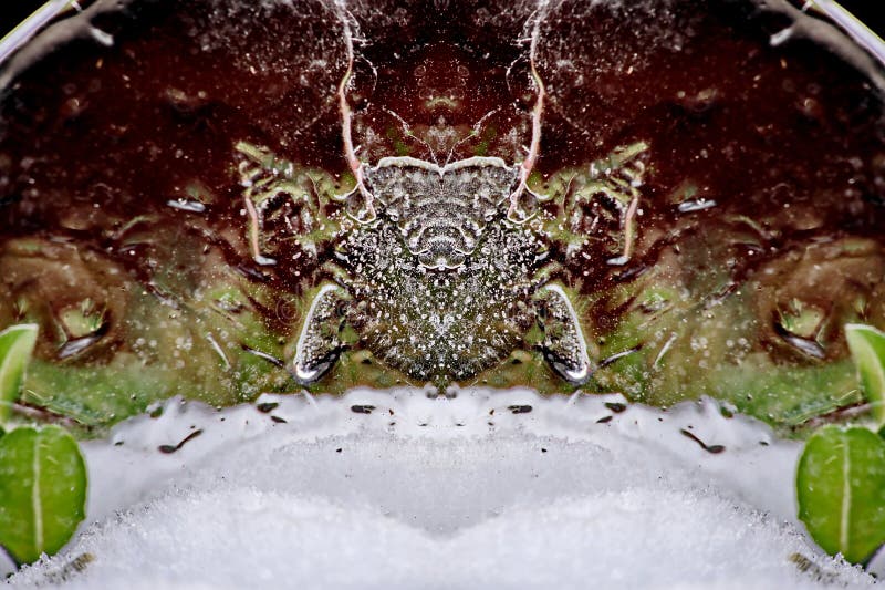 Abstract Ice Pattern and Drawing Appearing on the Surface of the Water ...