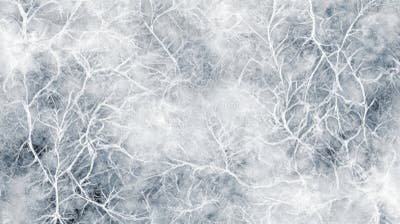 Branchlike Patterns Stock Illustrations – 5 Branchlike Patterns Stock ...