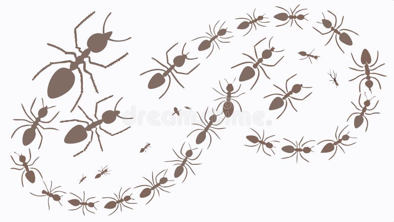 Abstract Illustration of Ants Marching in a Swirling Pattern Vector ...